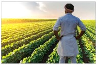 Punjab National Bank- Internet Banking Login